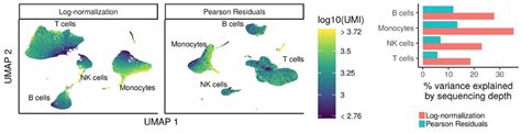 single cell rna seq normalization identification of most variable