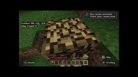 New World New Me Youtube