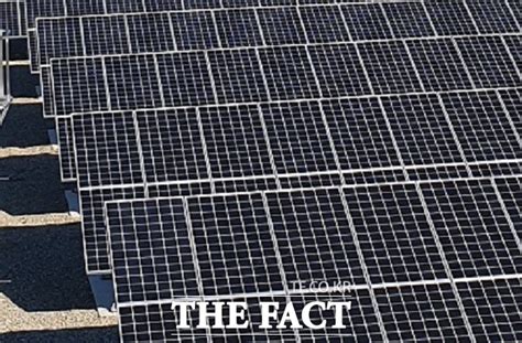 강릉시 신재생에너지 융복합지원사업 수요조사 추진 전국 기사 더팩트