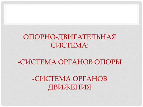 Значение опорно двигательной системы презентация онлайн