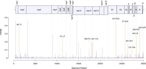 Sars Cov 2 Spatial Structure 2 New Evidence From Rna And Protein