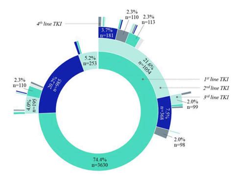 Tyrosine Kinase Inhibitor Treatment Patterns CP CML Patients Real Life