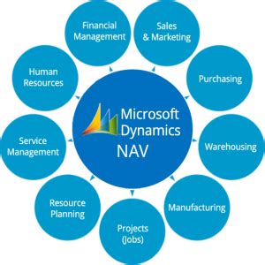 Microsoft Dynamics NAV Ramaerp
