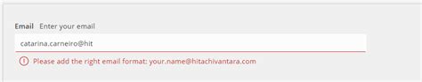 input email validation isn t working as expected · issue 2608 · lumada