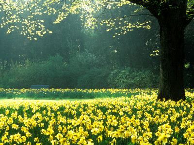 The Buford Family New Spring New Life New Hope