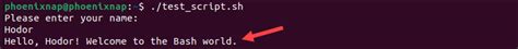 What Is Bash PhoenixNAP KB