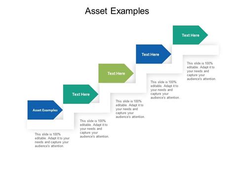 Asset Examples Ppt Powerpoint Presentation Infographic Template Slide Portrait Cpb