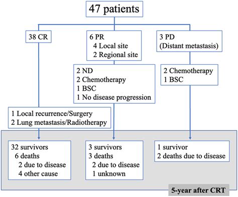 Flow Diagram Of 47 Patients After Concomitant Chemoradiotherapy Crt