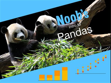 noob s hot tip kaggle course certificates data science noobs