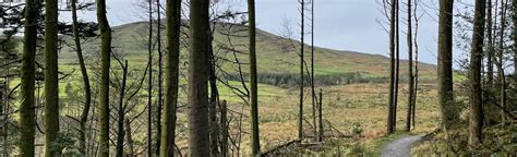 Drumkeeragh Forest Park Inner Circular Newry Mourne And Down