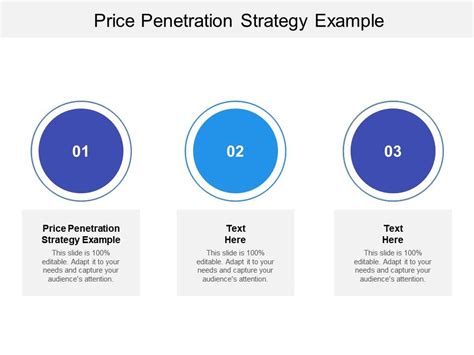 Price Penetration Strategy Example Ppt Powerpoint Presentation Infographics Graphics Example Cpb