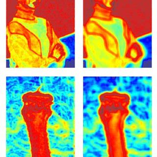 Examples Of The Original Images A Their Local Entropy Measures At Download Scientific
