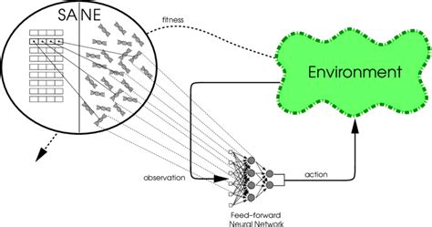 9 Symbiotic Adaptive Neuroevolution Color Figure The Algorithm Download Scientific Diagram