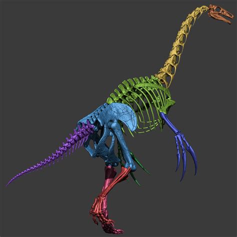 💀 Therizinosaurus Cheloniformis Skeleton Model For 3d Printing With