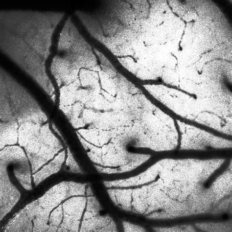 数字图像处理之均值滤波 Csdn博客