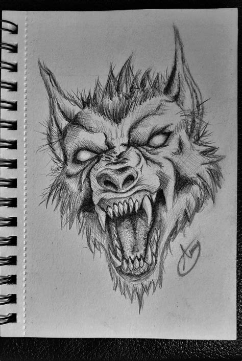 Lobo Dibujo Realista