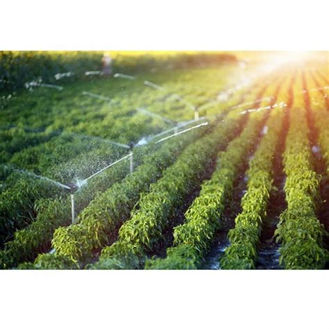 16 Mm Inline Drip Irrigation System 500 M At Best Price In Berhampur Id 20270584391