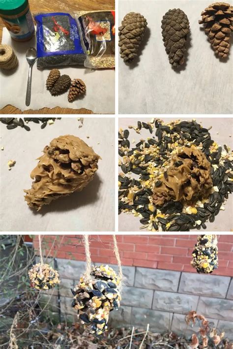 Diy Pine Cone Bird Feeders Mud Paper Scissors