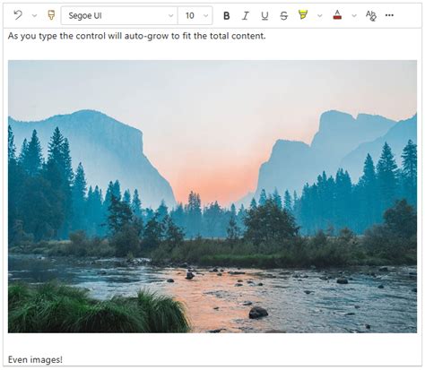 Add The Rich Text Editor Control To A Model Driven App Power Apps