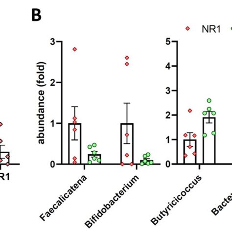 Fecal Microbiota Genera In Responder And Non Responder Bs Patients A