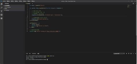 Vscode Node Hans