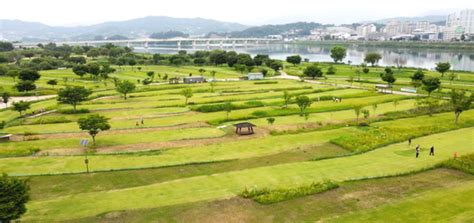 Geconomy지이코노미