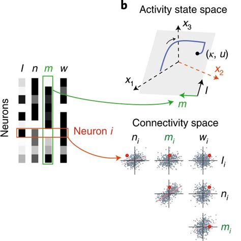 Reducing Low Rank Networks To Low Dimensional Latent Dynamics To