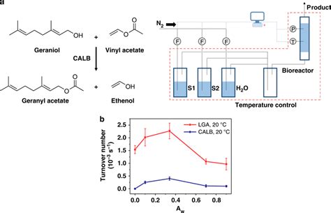 Experimental Setup And Activity Test For Transesterification A Download Scientific Diagram
