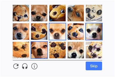 Как установить Python на Windows Mac Linux полная инструкция