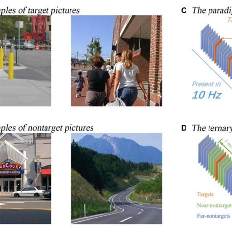 the paradigm and examples of pictures used in the rsvp experiment