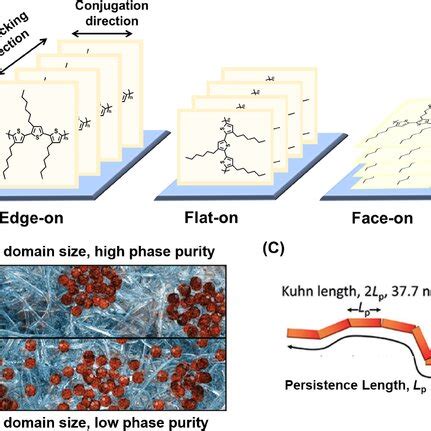 A The Texture Of Molecular Arrangement In Blends Includes Edgeon