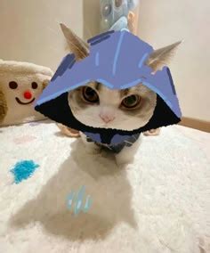 Omcatomen Cat 2025 Kedi Çizim Fikirleri Animasyon