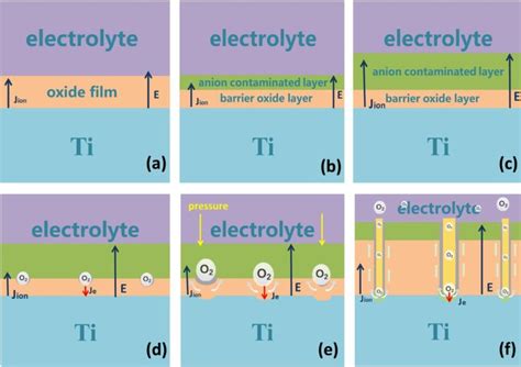 Schematic Diagram Of Oxygen Bubble Model Forming Nanotubes Download