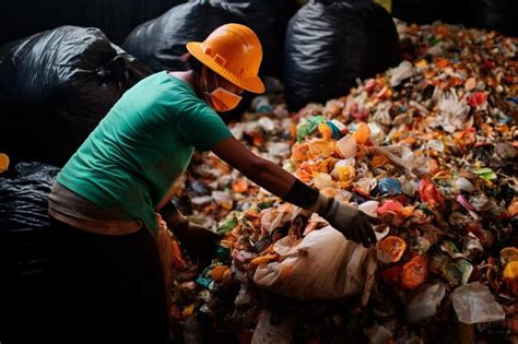 A Person Looking Through Garbage For F Poverty Photos793 Premium