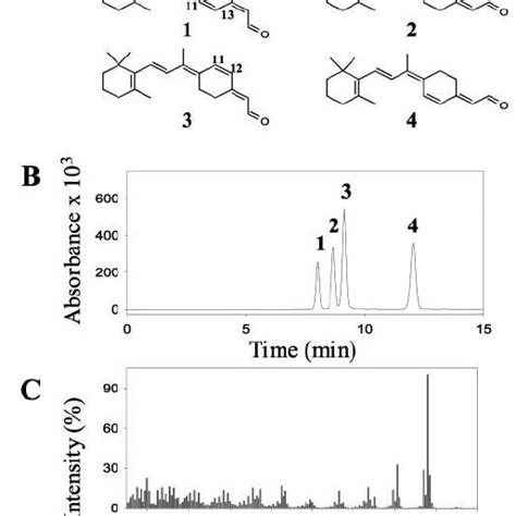 Ftir Difference Spectra Of Rhodopsin Before And After Illumination