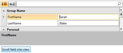 WPF PropertyGrid Scrolling Into View Telerik UI For WPF