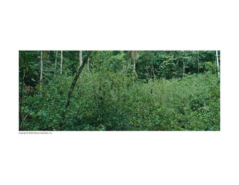 Chapter 2 Lecture Notes Pdf