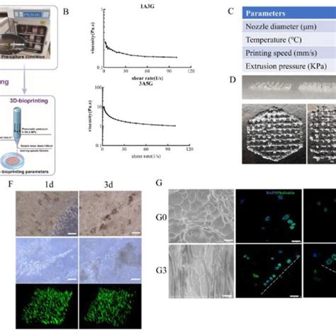 Optimization Of 3d Printing Parameters A Schematic Illustration Of Download Scientific