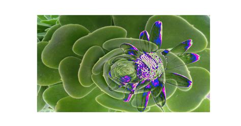 Código de Python Sumar dos imágenes