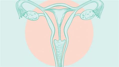 Early Warning Signs Of Ovarian Cancer Every Woman Should Know