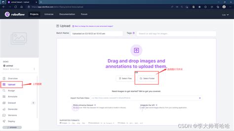 Roboflow标注平台使用 小白都能看懂 CSDN博客