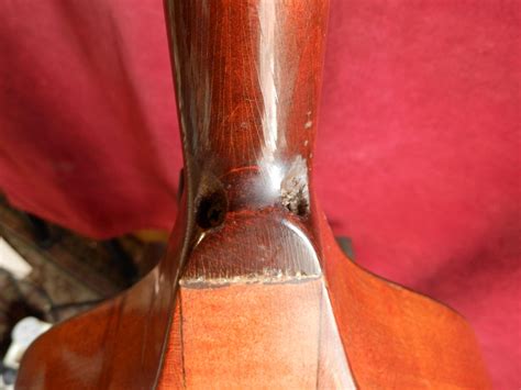 12 String Mandolin Or Mandriola
