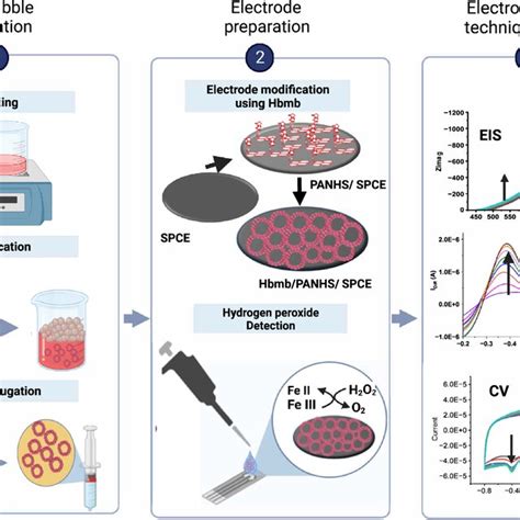 A Sensor Performance Comparison For Hydrogen Peroxide Detection Of Download Scientific