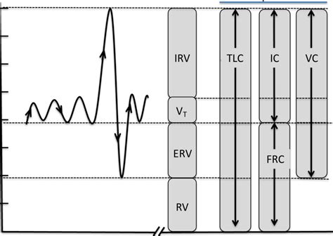 Static Lung Volumes And Capacities Based On A Volume Time Spirogram Of Download Scientific
