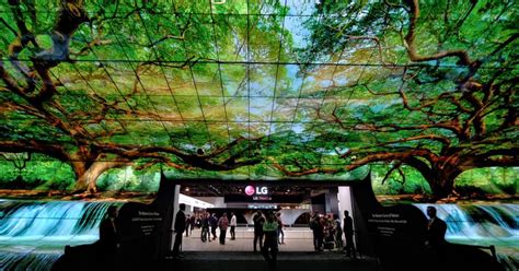 The Lg Stand At Ces Is Once Again A Real Madness And Delight For The Senses