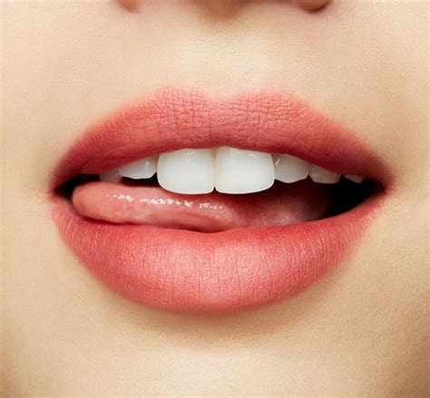 New 파우더 키스 2021 컬렉션 립스틱 And 리퀴드 립컬러 네이버 포스트