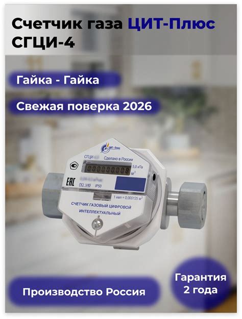 Счетчик газовый СГЦИ 4 20 М ЯБКЮ 407239 001 12 Dn20 ГГ купить на