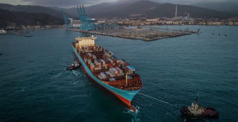 Vado Gateway Terminal Commences Operations Container News