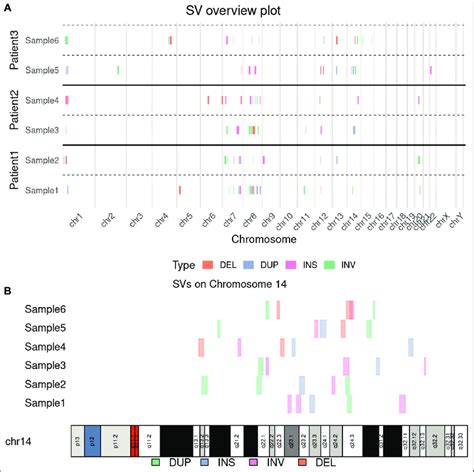 Examples Of Sv Visualization Utilities A Sviv Allows For