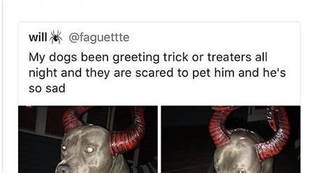 uh why wouldn t they be imgur